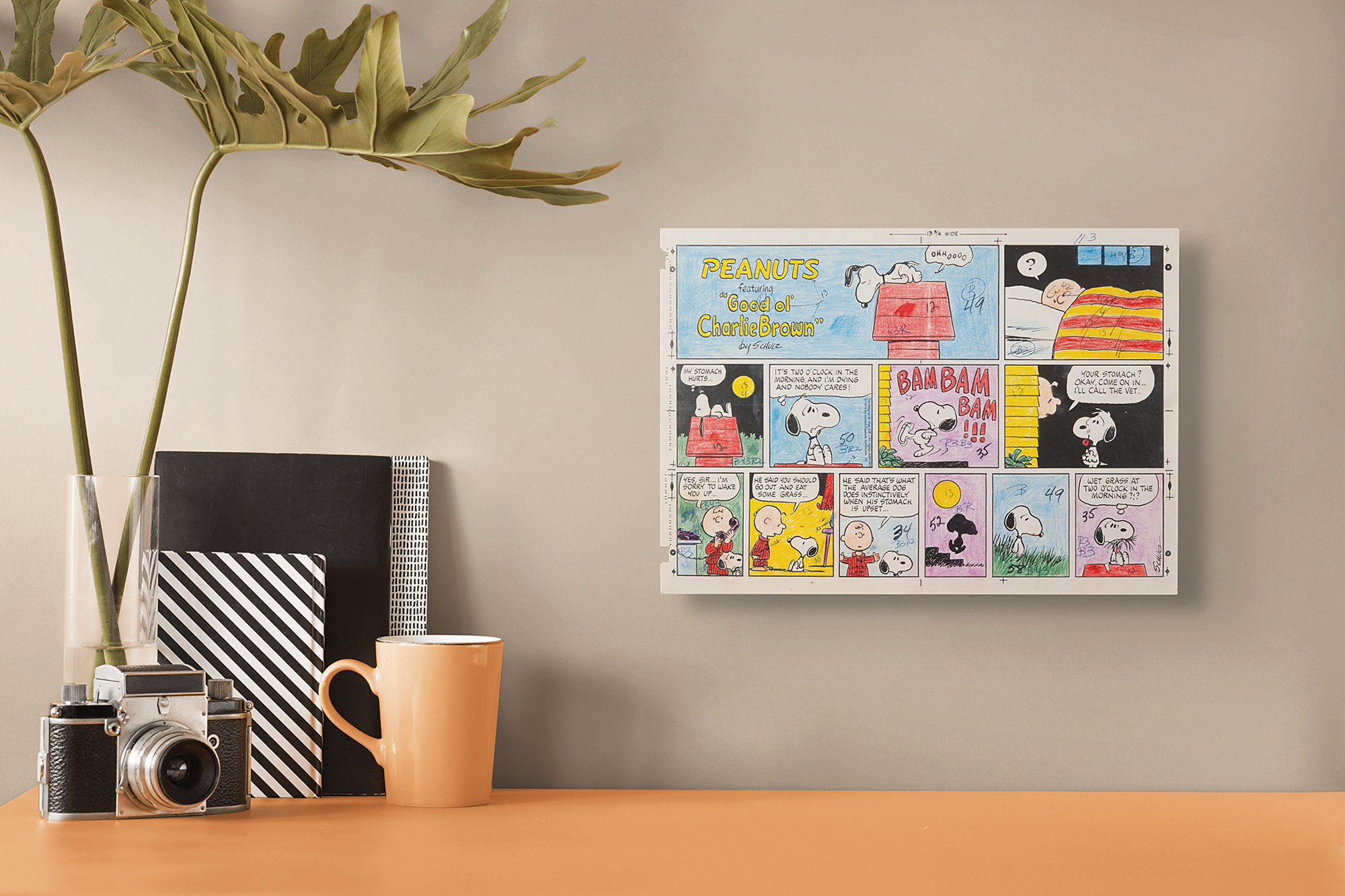 Charlie Brown and Snoopy production color guide for a Peanuts comic