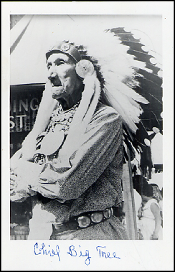 Chief John Big Tree | RR Auction